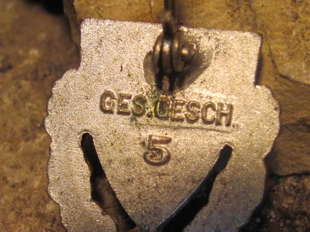 Third Reich Veteran Pin